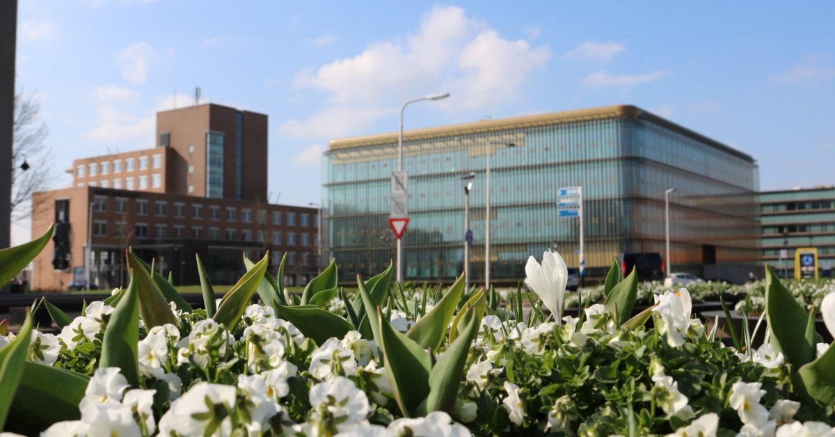 Business Consultant Dienstverlening - WRK.frl/