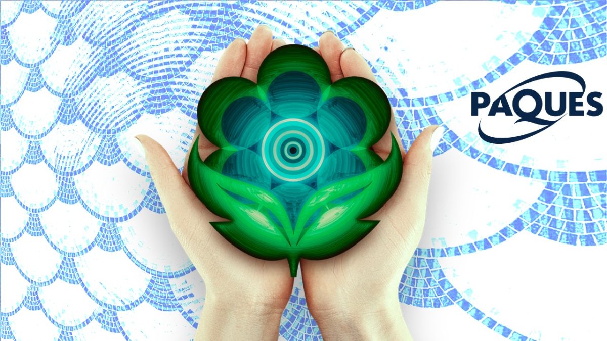 Paques BV - WRK.frl/